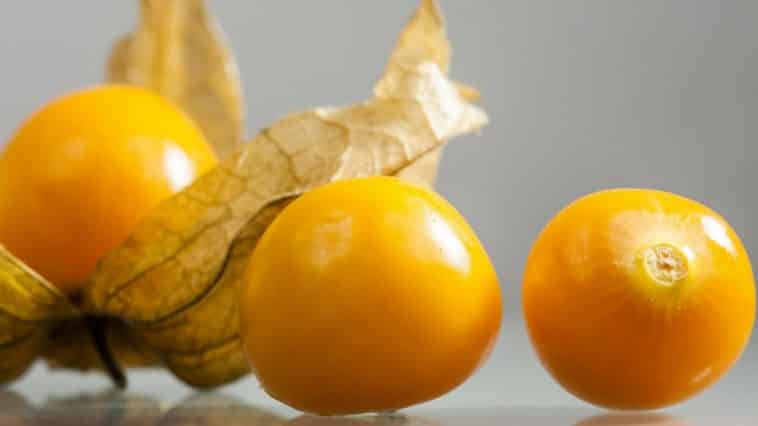 Conheça os benefícios da golden berry