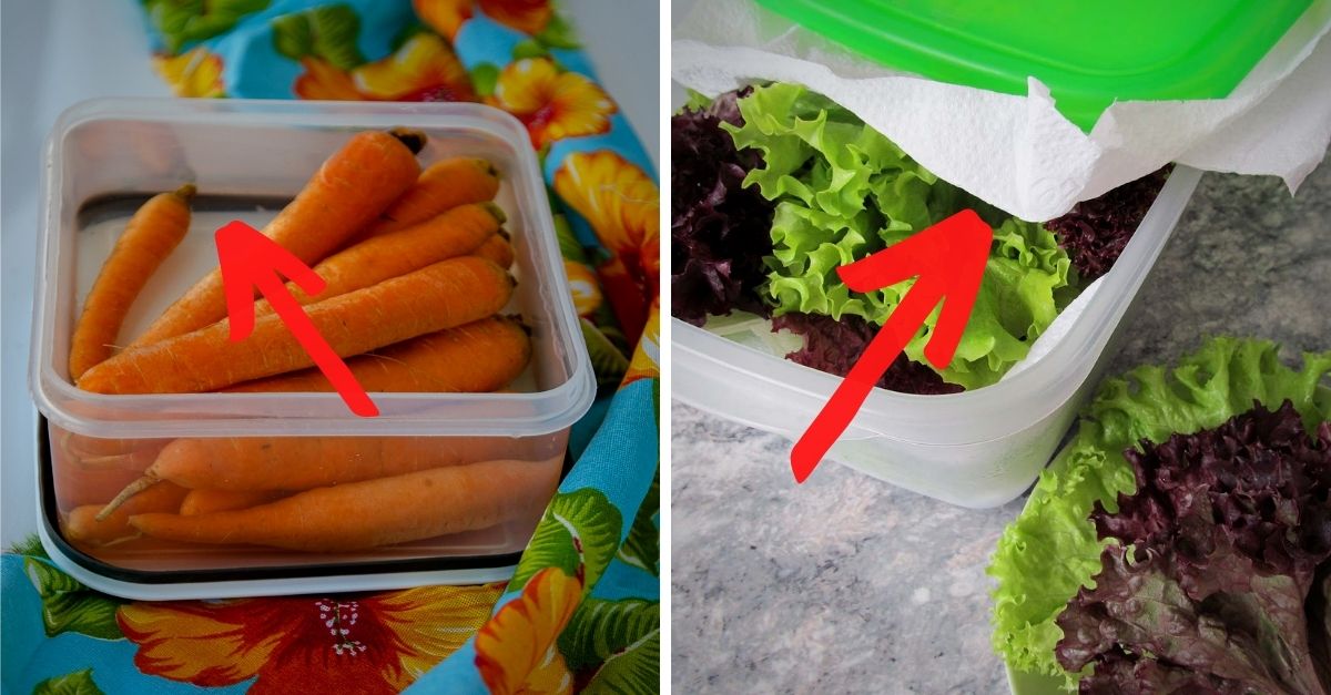 5 Dicas espertas para a hora de guardar alimentos