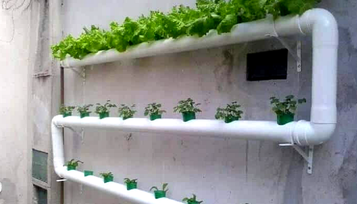 Como fazer uma mini-horta em casa: dicas e ideias para inspiração