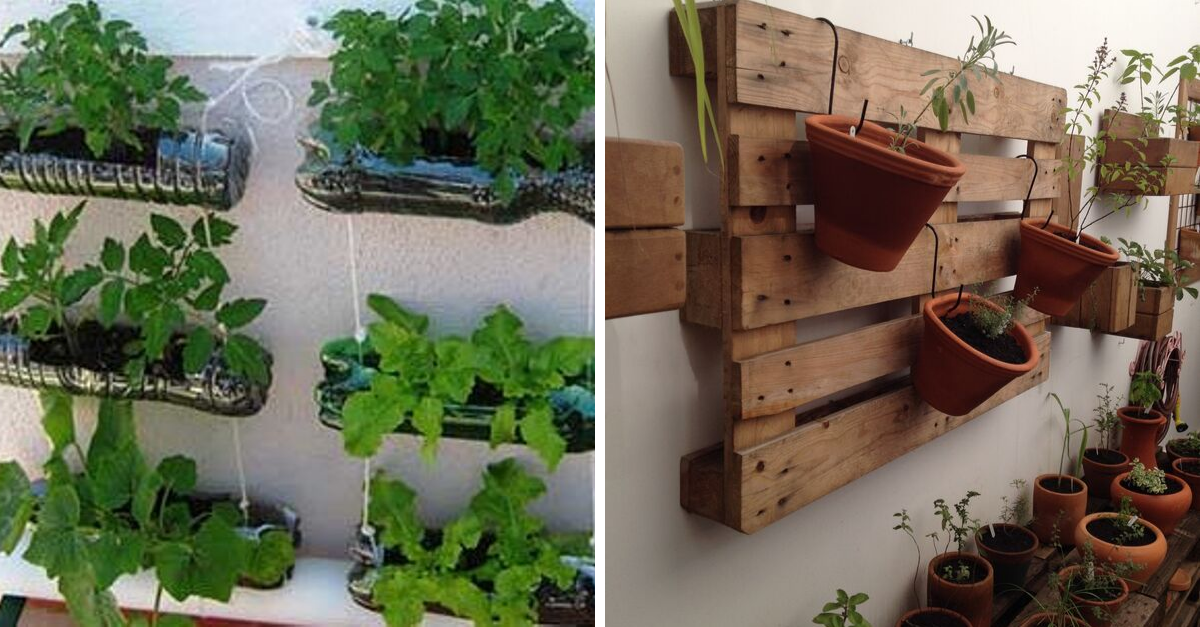 Como fazer uma horta vertical em casa: 7 modelos lindos