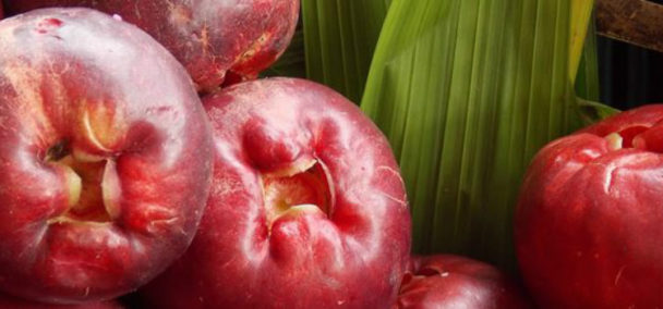 7 Benefícios do jambo para a saúde