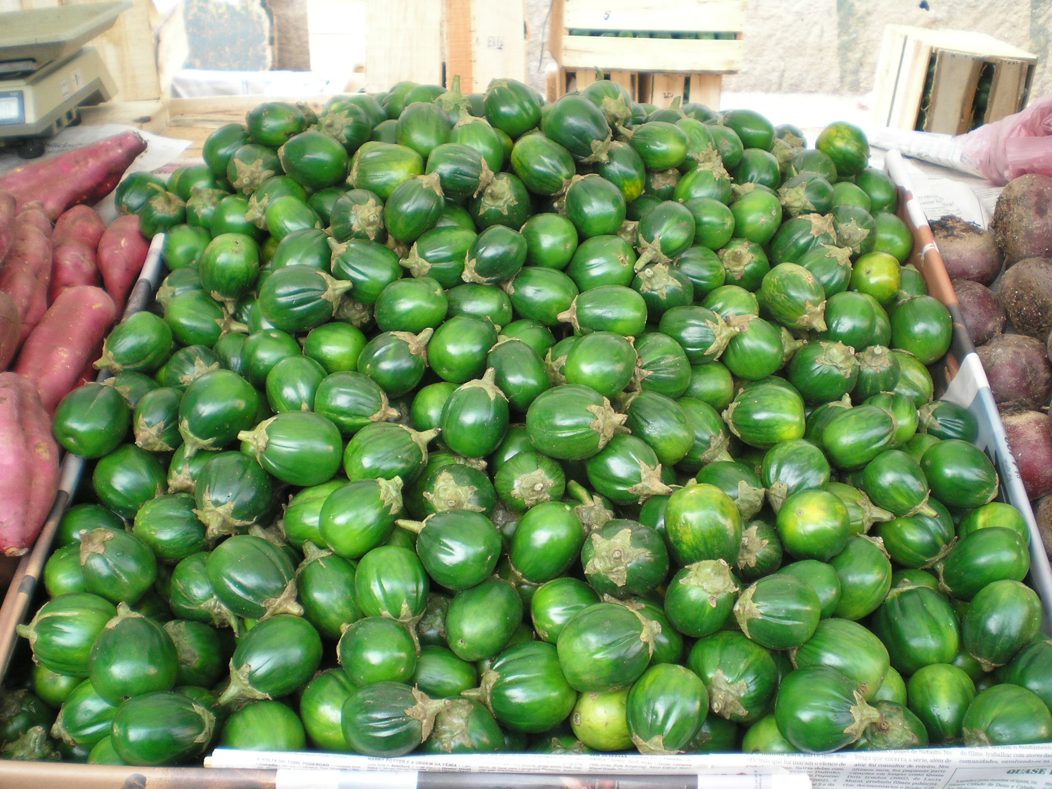 5 Importantes benefícios do jiló