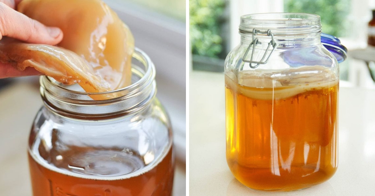 Kombucha: o que é, benefícios e como fazer