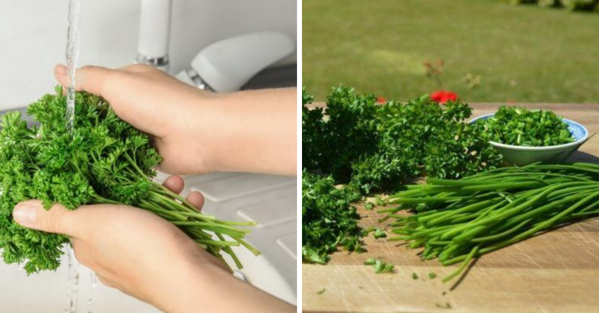 Como lavar e conservar melhor o cheiro-verde