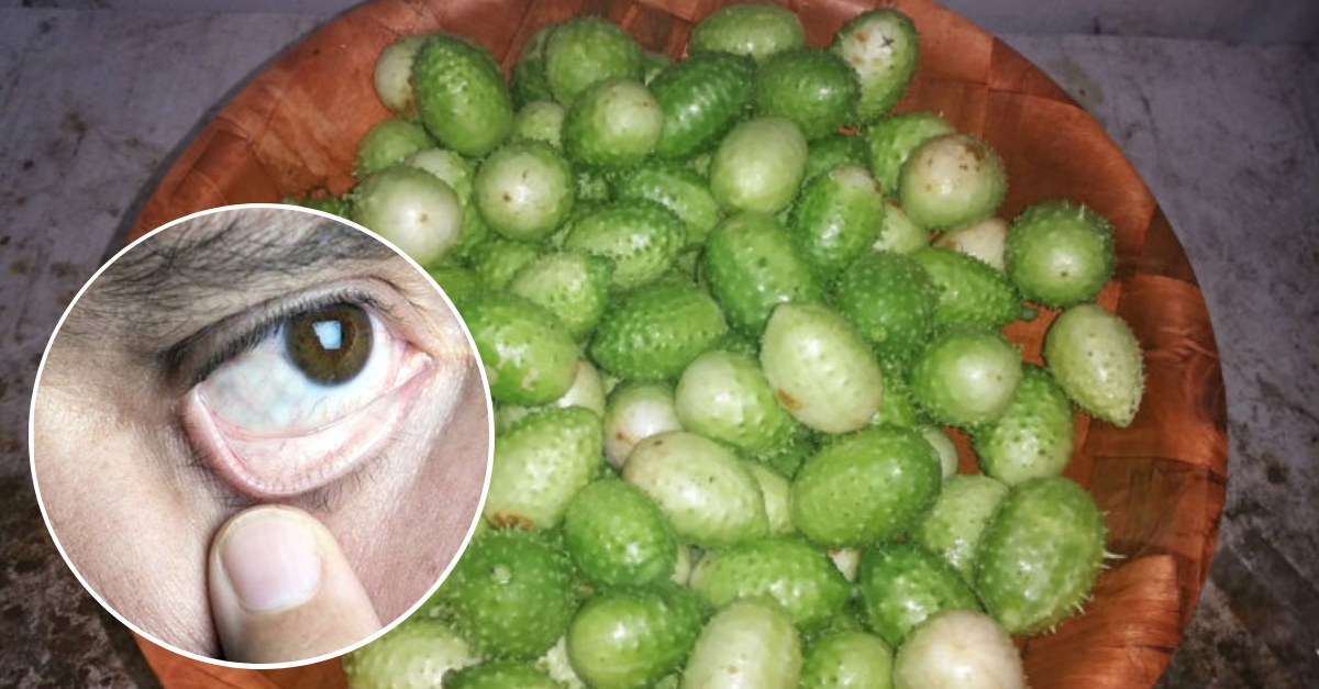 Propriedades e benefícios do maxixe para a sua saúde