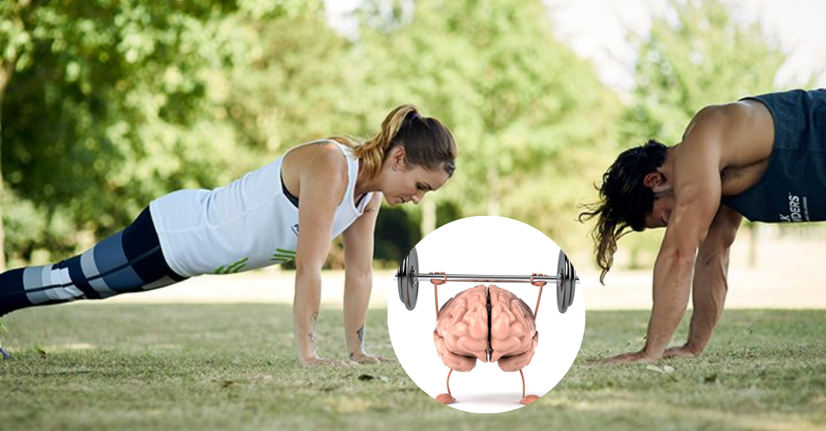 Memória muscular ajuda a entrar em forma depois de anos, diz estudo