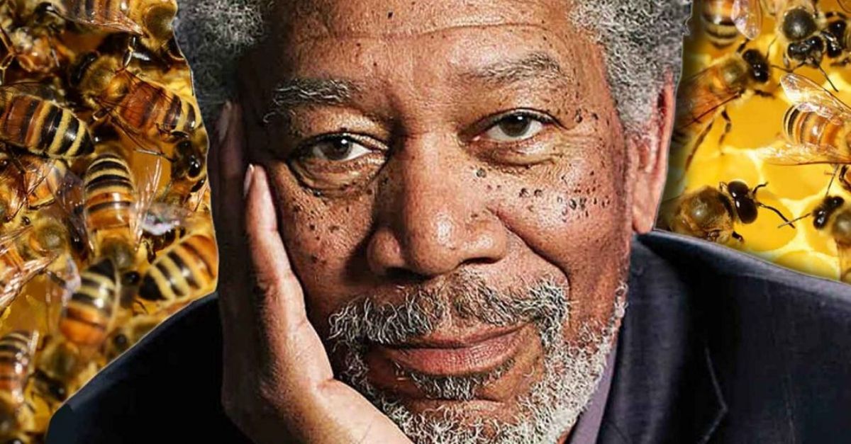 Ator Morgan Freeman transforma sua chácara em um santuário de abelhas