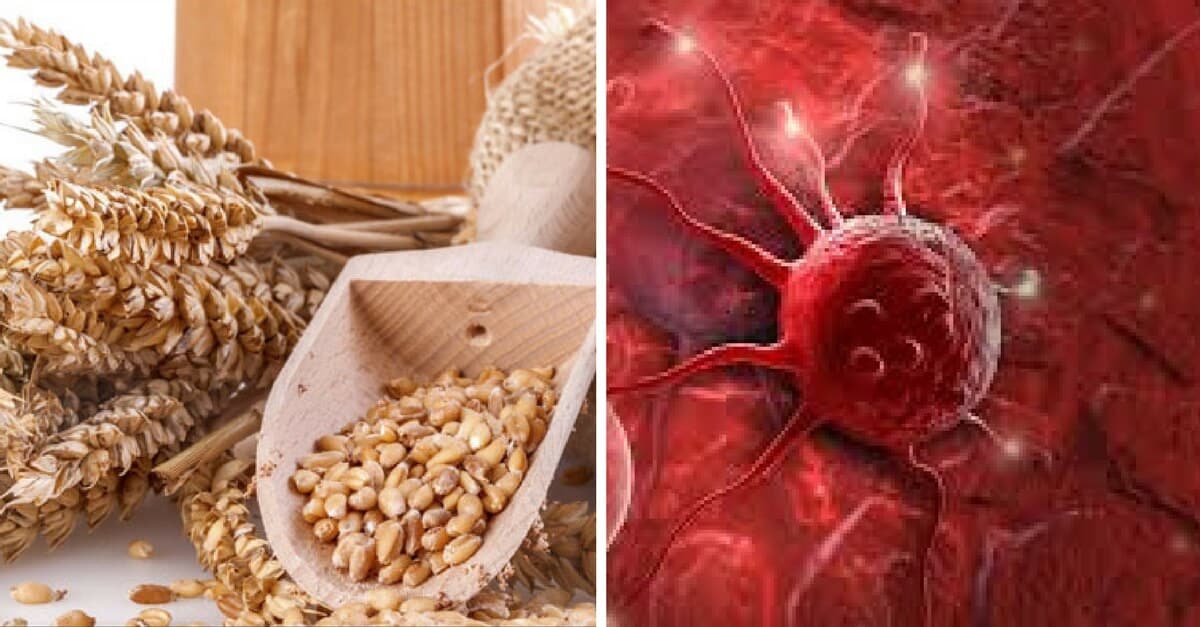 Os benefícios dos grãos integrais à saúde