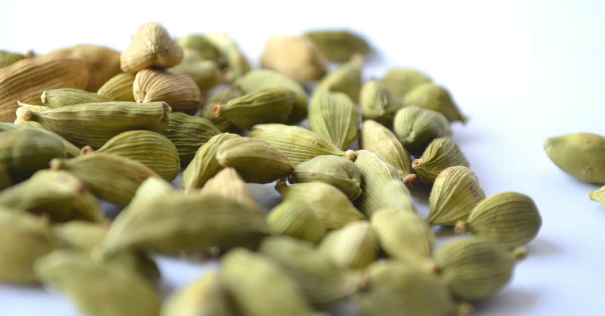 Cardamomo: o que é, benefícios e como usar