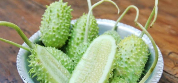 Propriedades e benefícios do maxixe para a sua saúde