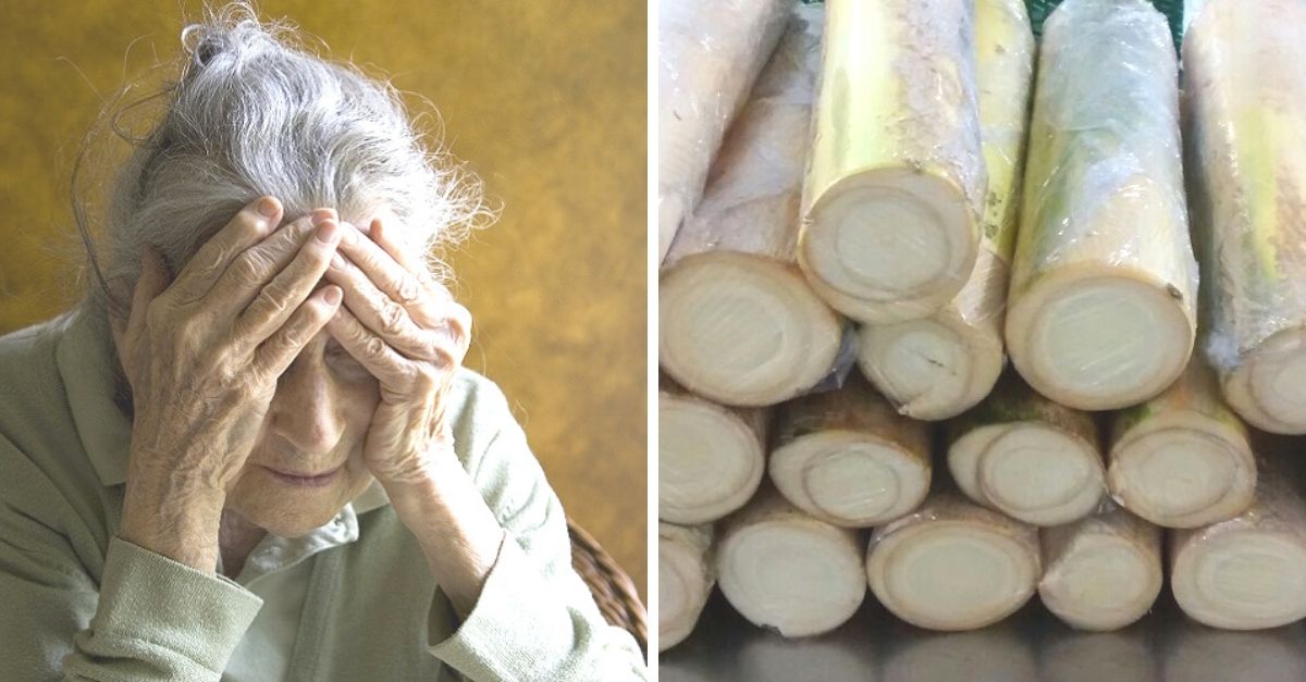 Benefícios do palmito: 4 motivos para consumi-lo