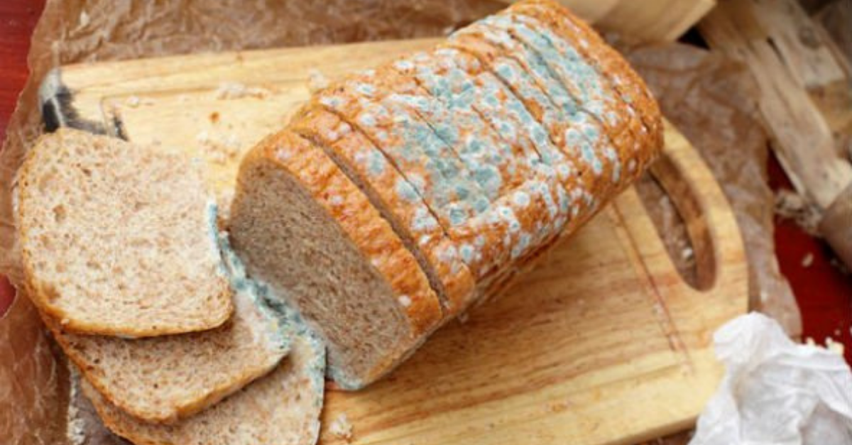 Comida estragada? Saiba como saber se realmente não dá para comer