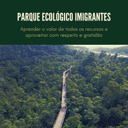 Parque em SP permite passear pelo coração da Mata Atlântica