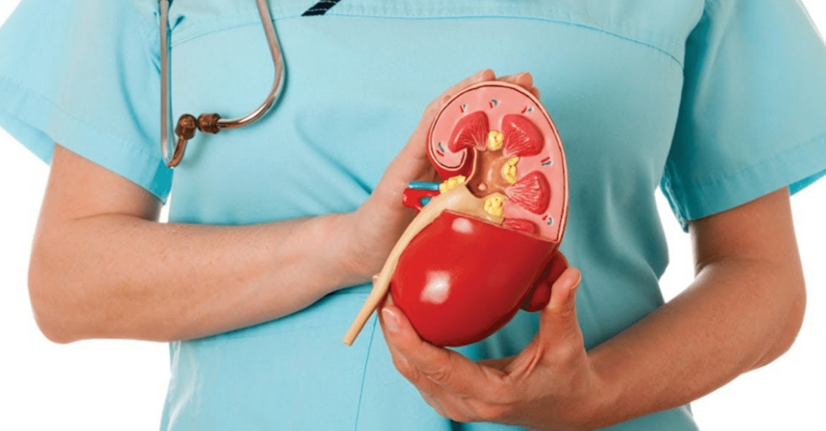 Pedra nos rins: sintomas, causas e tratamento