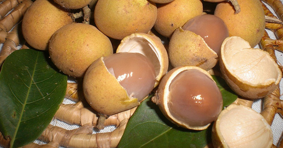 Pitomba: conheça os benefícios dessa fruta para a saúde - Dicas Online