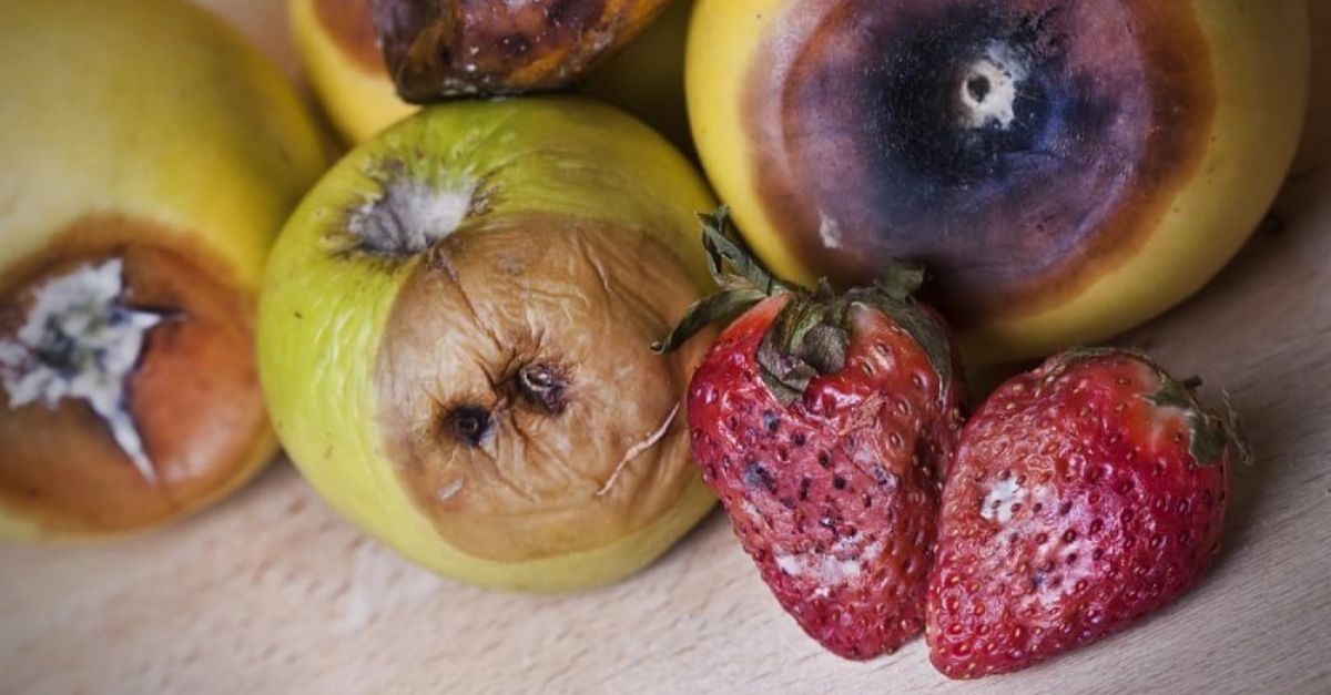 Comida estragada? Saiba como saber se realmente não dá para comer