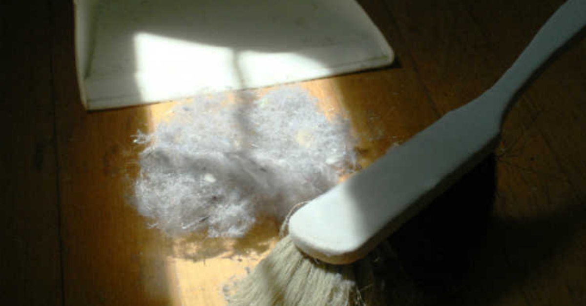 Como a poeira de casa pode fazer mal para a sua saúde