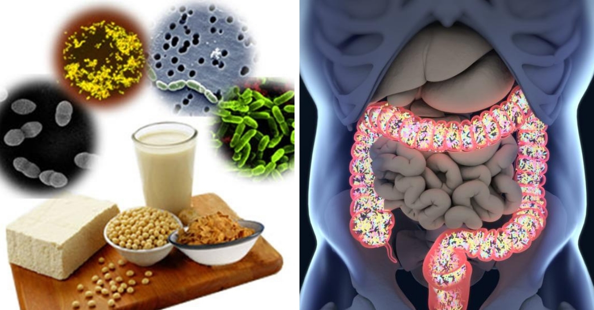 Probióticos e prebióticos: qual a diferença?