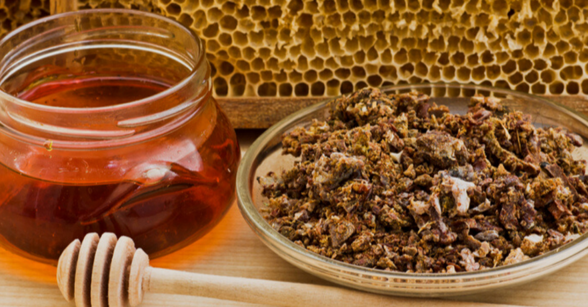 Qual é o jeito certo de tomar própolis para aumentar a imunidade