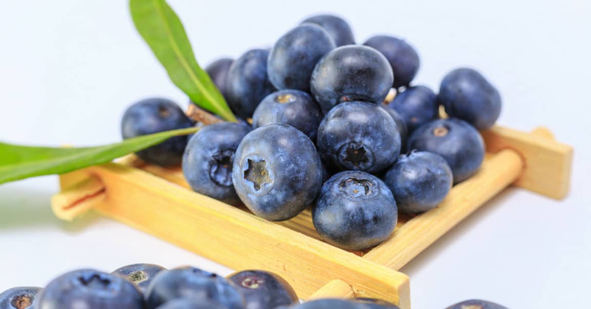 Conheça os benefícios do mirtilo e veja como comer essa fruta