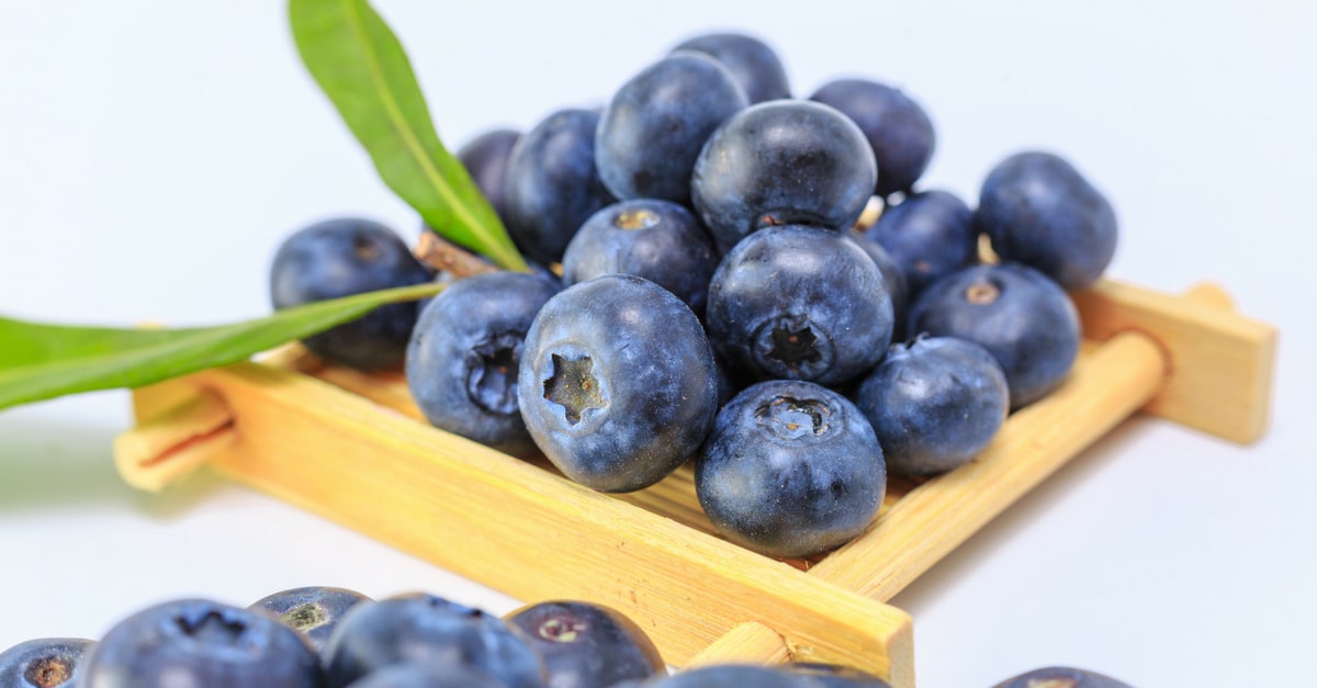 Conheça os benefícios do mirtilo e veja como comer essa fruta