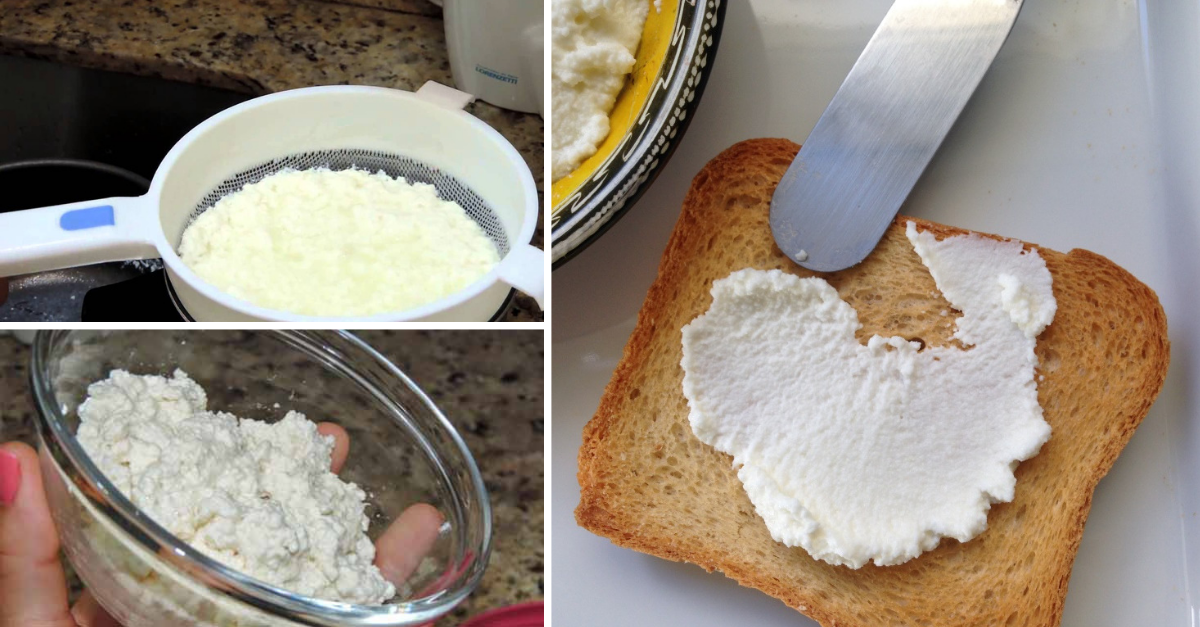 Queijo cottage: benefícios e como fazer