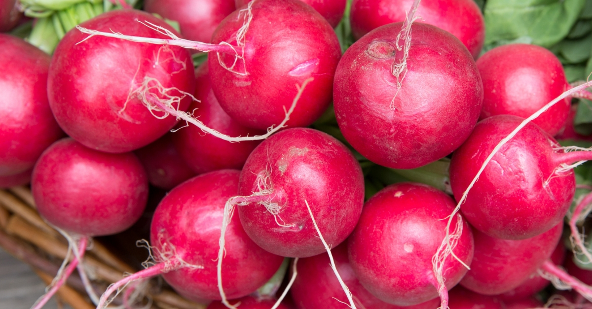 Rabanete emagrece: sim ou não?