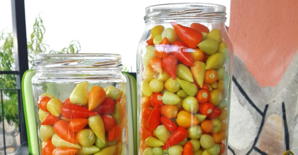 Como fazer conserva de pimenta caseira