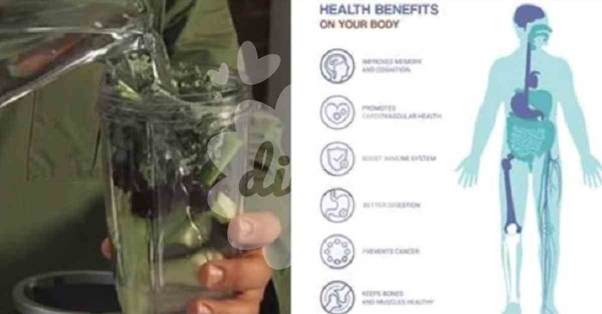 Confira as 10 melhores receitas para alcalinizar seu corpo