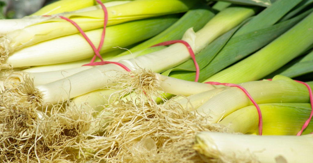 Receitas e benefícios do alho-poró para seu bem-estar