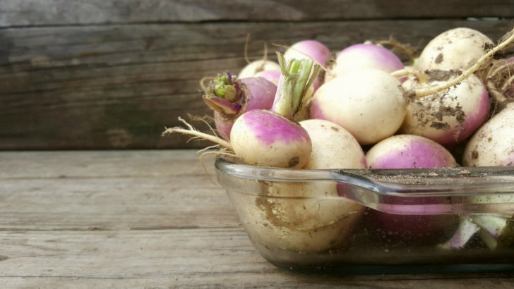 7 Receitas de salada de nabo para incluir nas refeições