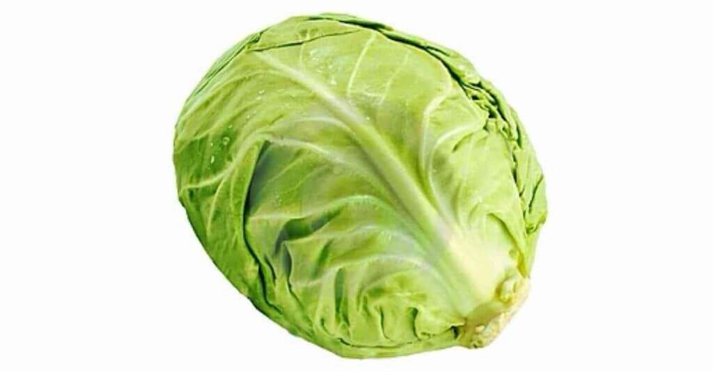 Aprenda aqui a fazer repolho em conserva