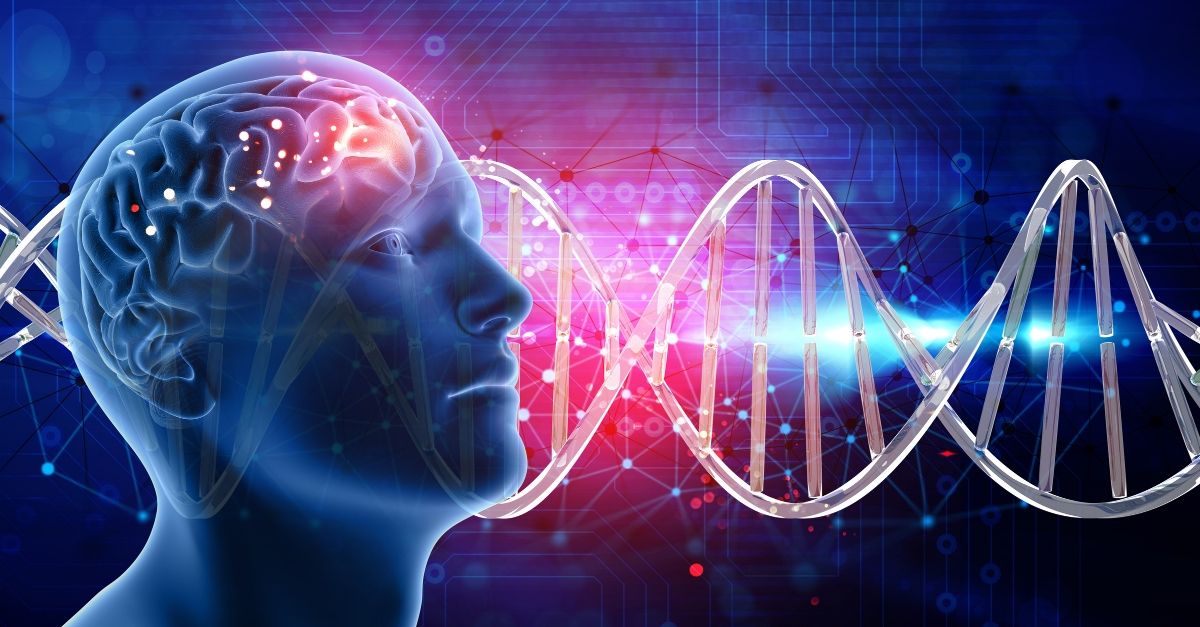Glândula pineal: conheça suas funções e como ativá-la