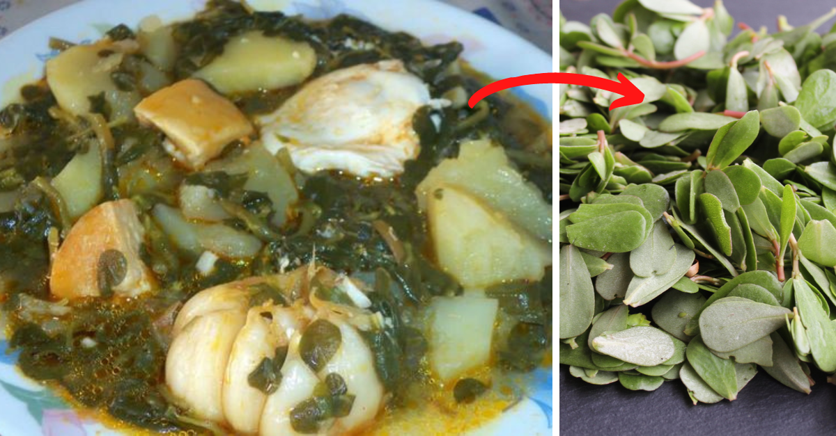 Sopa de beldroegas: uma receita tradicional portuguesa