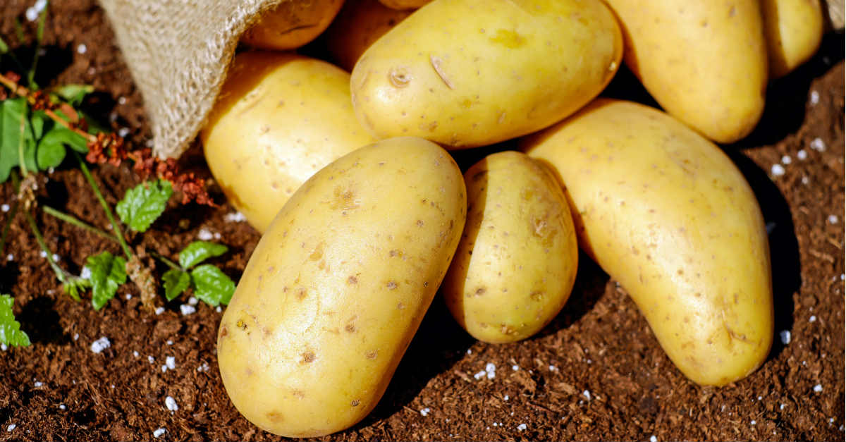 Suco de batata: 11 benefícios para a saúde