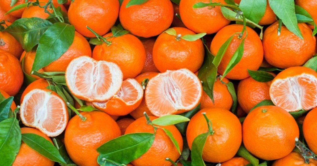 Benefícios da tangerina