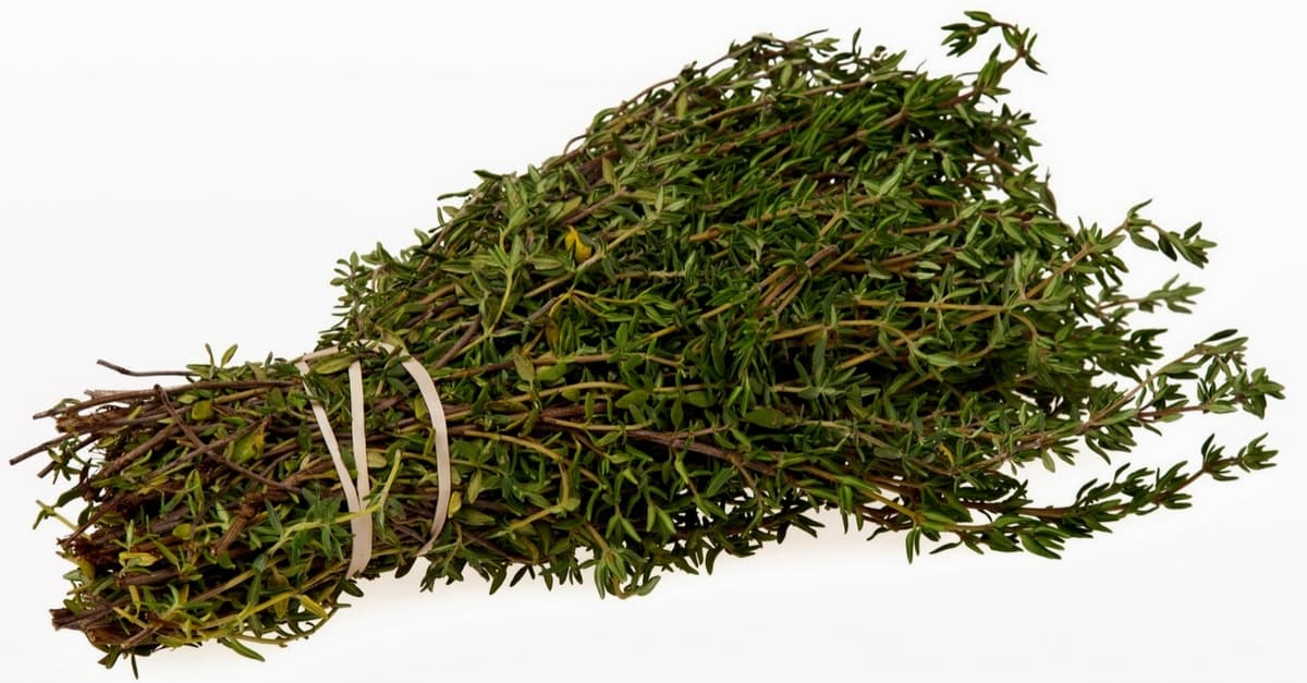 É possível ter em casa uma super planta antiviral