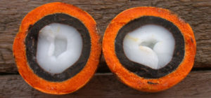 Benefícios do tucumã para a saúde