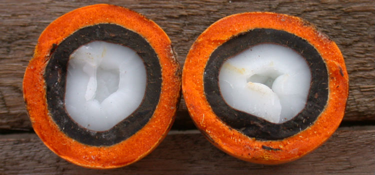 Benefícios do tucumã para a saúde