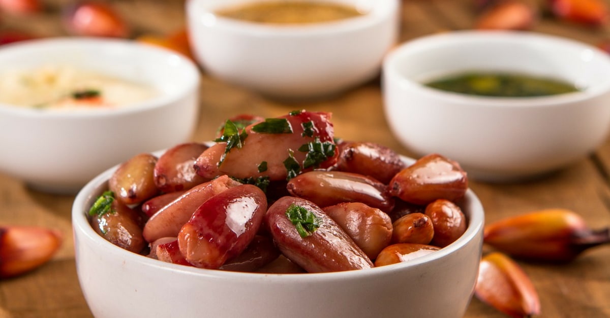 Tudo o que saber sobre o pinhão: uma semente nutritiva típica do Sul