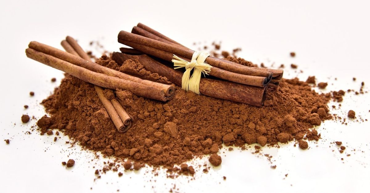 Canela nas plantas: conheça os benefícios e como usar