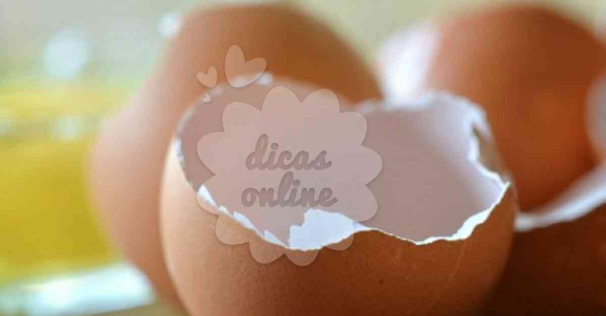 Como usar casca de ovo: dicas para a saúde humana e das plantas